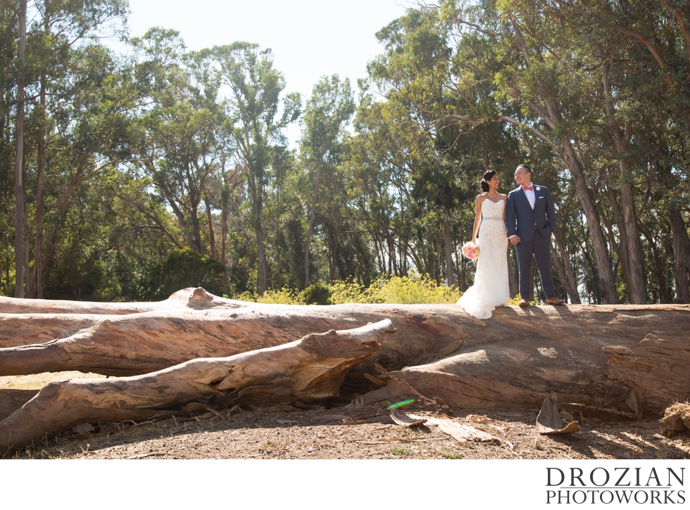 Melissa and Dorian’s Wedding at CuriOdyssey in San Mateo, CA » Drozian ...
