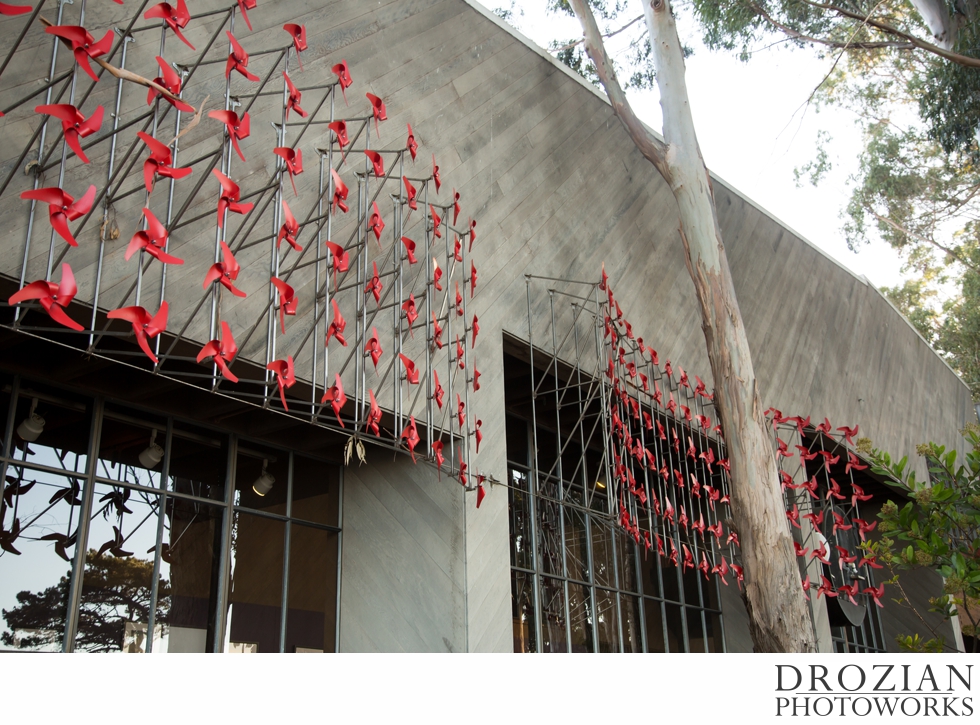 Melissa and Dorian’s Wedding at CuriOdyssey in San Mateo, CA » Drozian ...