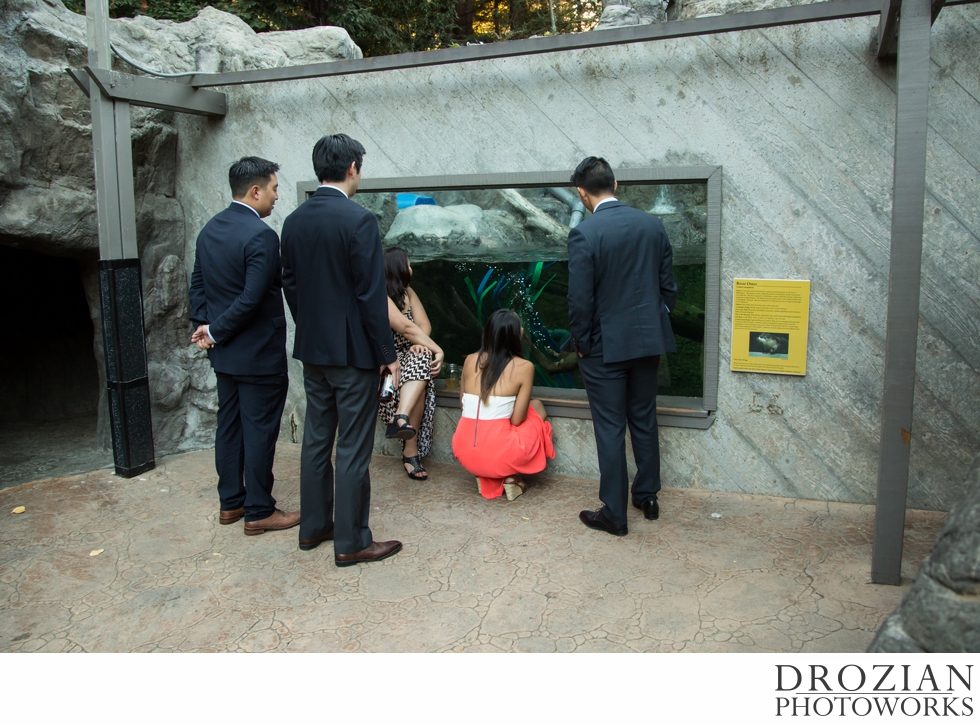 Melissa and Dorian’s Wedding at CuriOdyssey in San Mateo, CA » Drozian ...