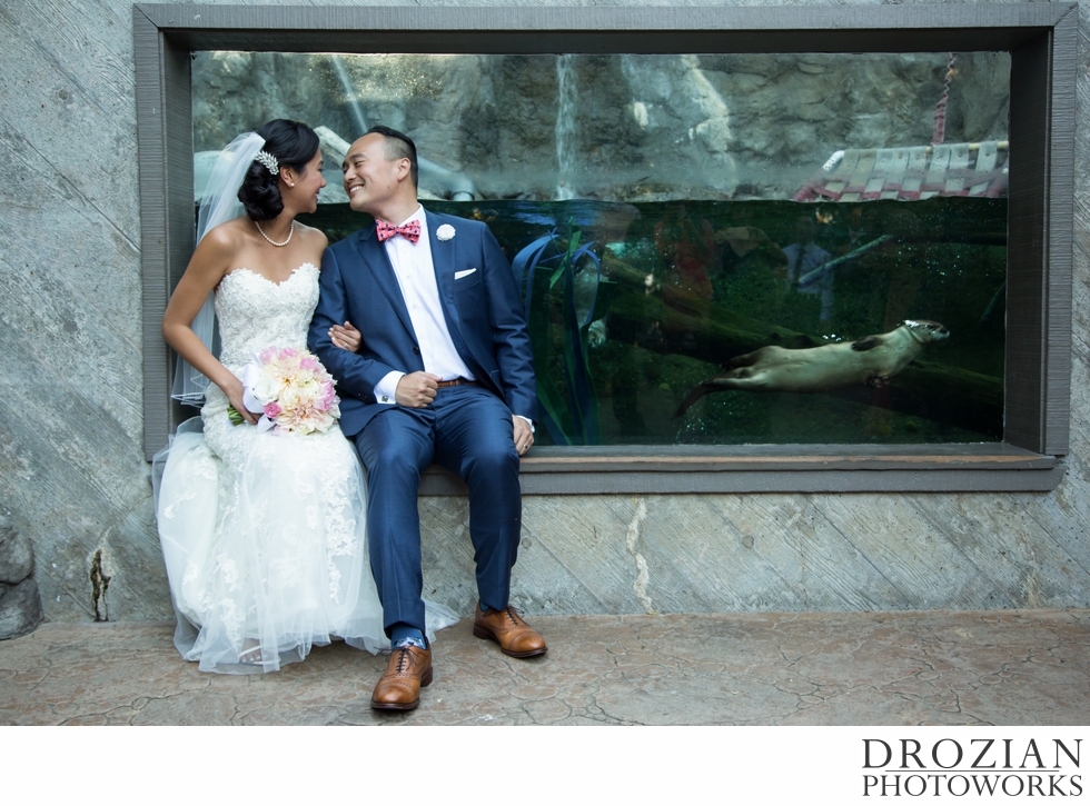 Melissa and Dorian’s Wedding at CuriOdyssey in San Mateo, CA » Drozian ...